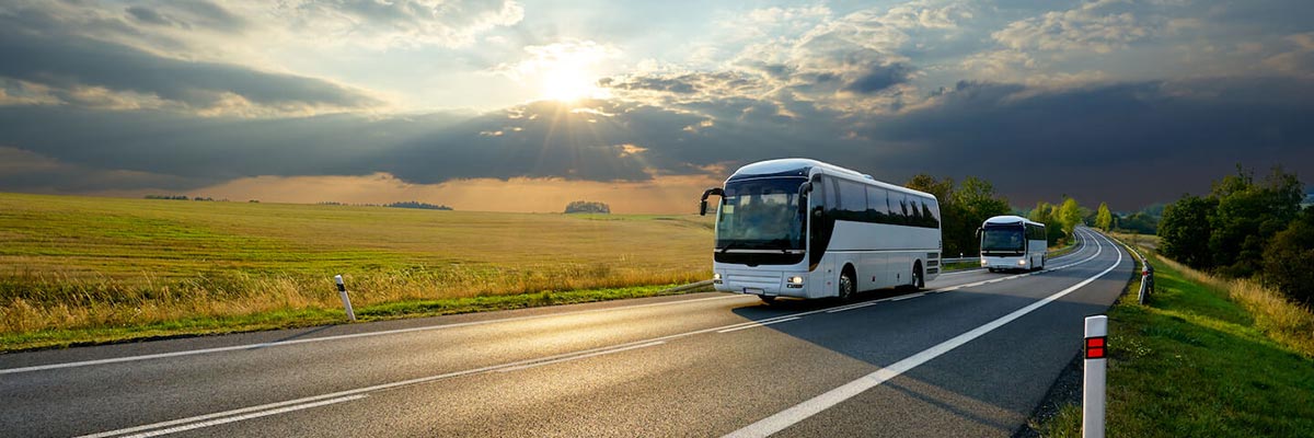 Panneaux composites pour planchers d'autobus - TOPOLO nouveau matériel
